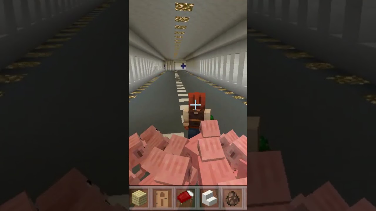 #minecraft let's go pig 🐷I have a tail 🐷 #shorts @mylintogonon