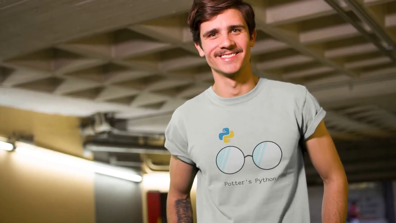 Potter's Python by codingtshirts.com