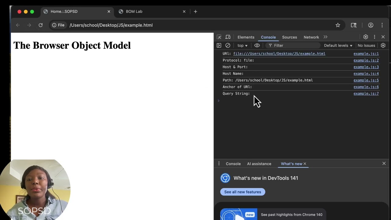 Week 6 : Lesson 2 - The Browser Object Model