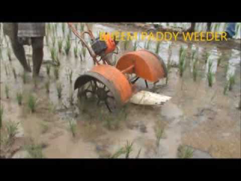 Paddy Weeder - Paddy Weeder Machine Latest Price, Manufacturers & Suppliers