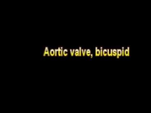 What Is The Definition Of Aortic valve, bicuspid Medical Dictionary Free Online