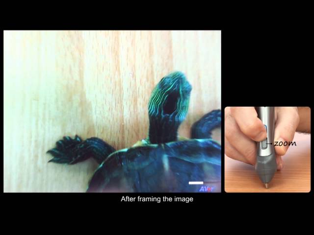 AVer AVerVision M70, Dokumentenkamera - kaufen bei Digitec