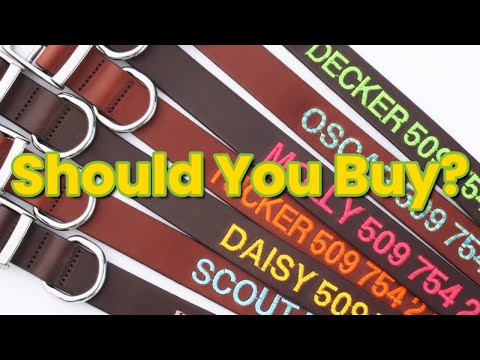 Review GoTags Personalized Dog Collars, Custom Embroidered Pet ID, Available in Soft Leather