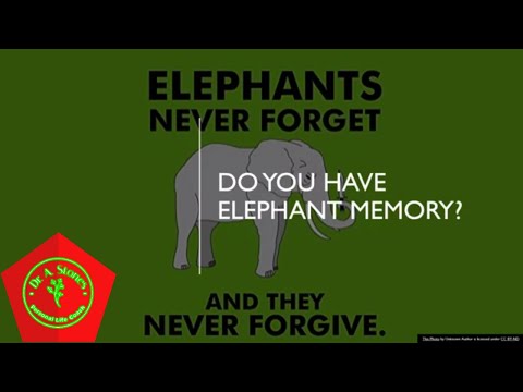 What is memory and how to improve it - compilation