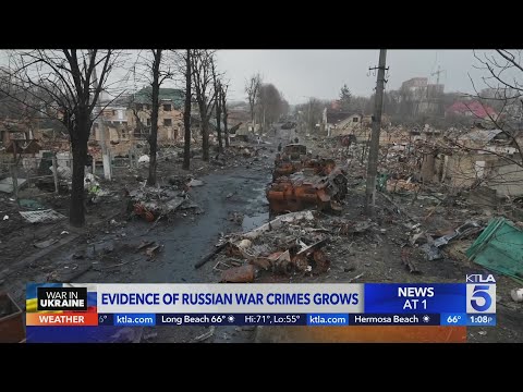 Evidence of Russian war crimes grows
