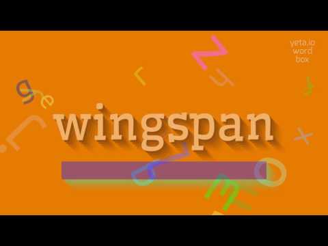 HOW TO SAY WINGSPAN? #wingspan