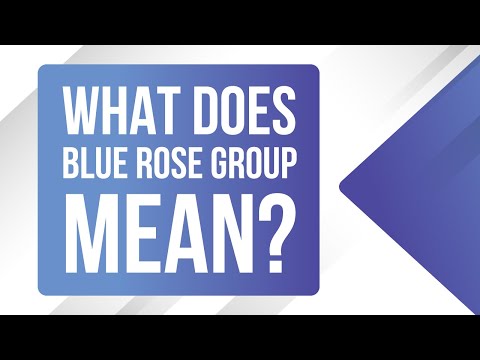 Where Did the Name Blue Rose Group Come From?