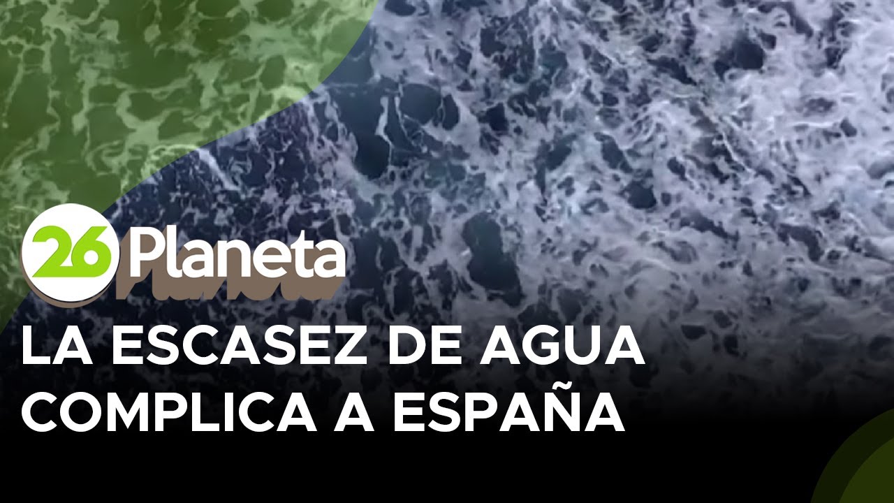 La escasez de agua pone en riesgo proyectos industriales en España