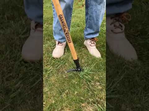 Effortless Weed Removal with Grampa’s Weeder! 🌱