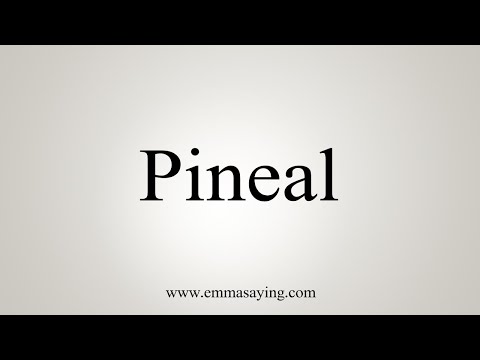 How To Say Pineal