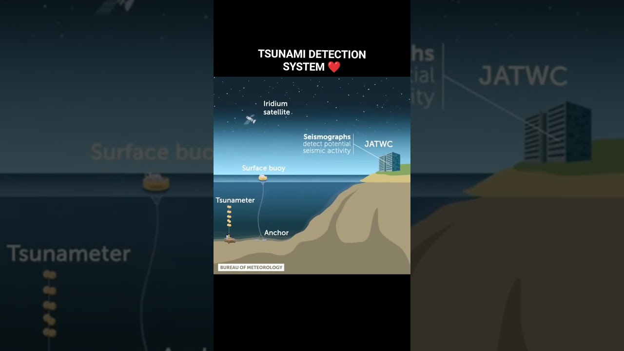 🌊 Tsunami Detection Systems Explained | How Early Warnings Save Lives