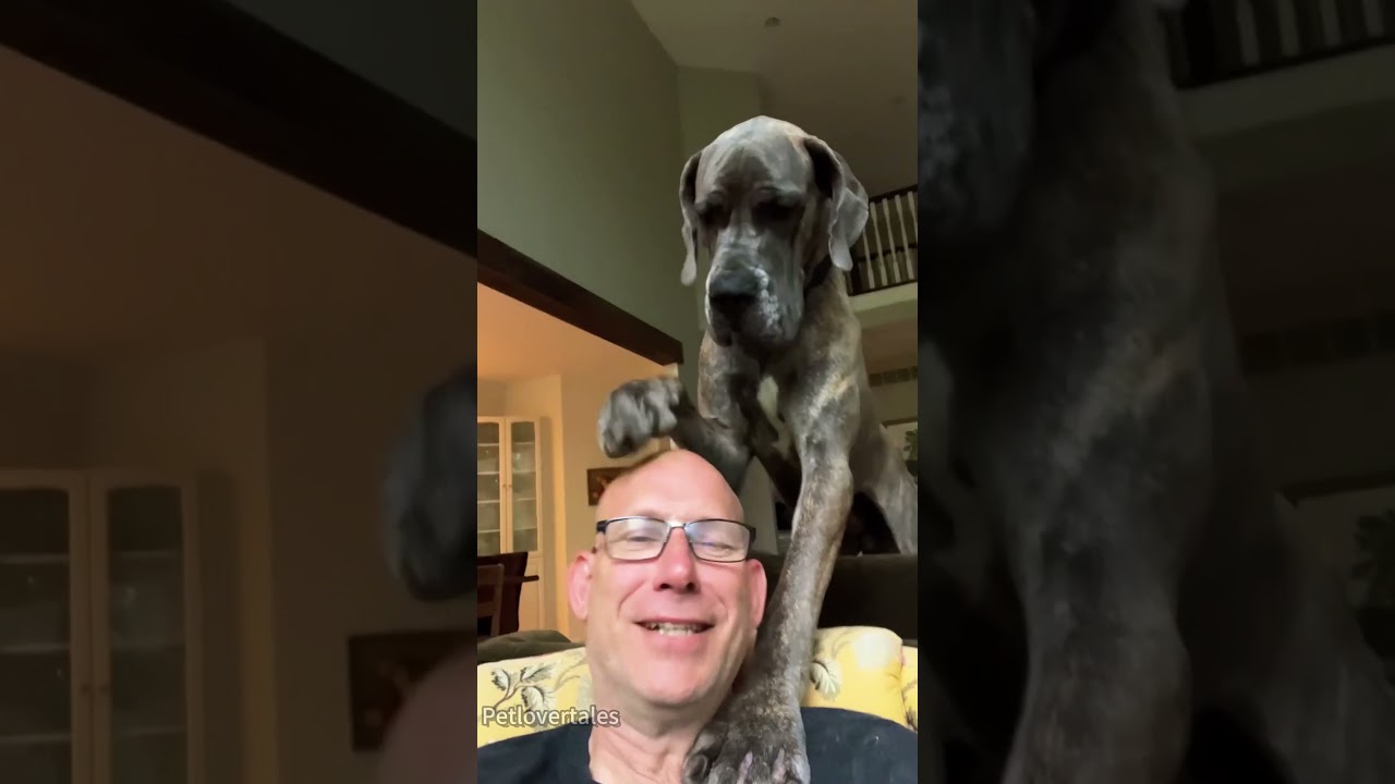 Zero personal space with my dog🤣🤣🤣#dog#dogvideos #clingydog#funnydog#fyp