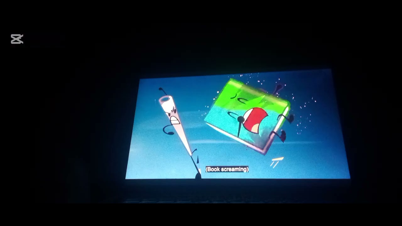 MORE BFDIA 25 LEAKS!!! SPOLIER