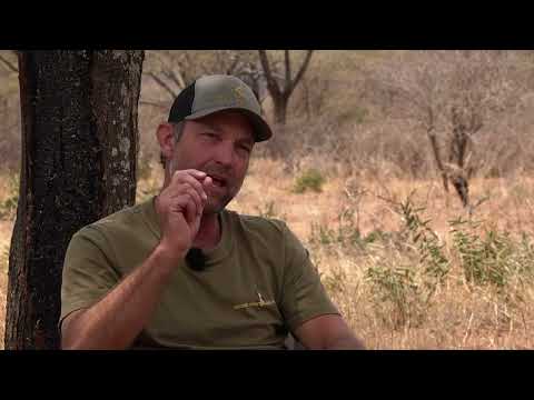 Scirocco® II, with the Signature Black Tip™ | Swift Bullet Company