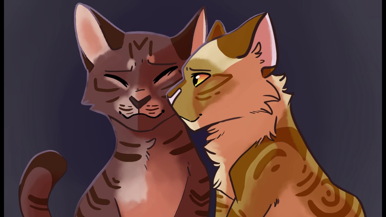 Mothpool - A Warriors Cats Speedpaint