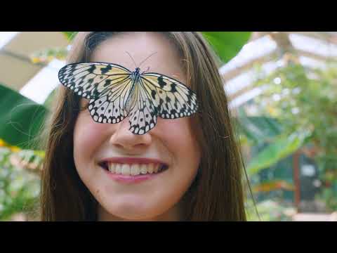 Nature animals and girl with butterfly on face | No Copyright Stock Video