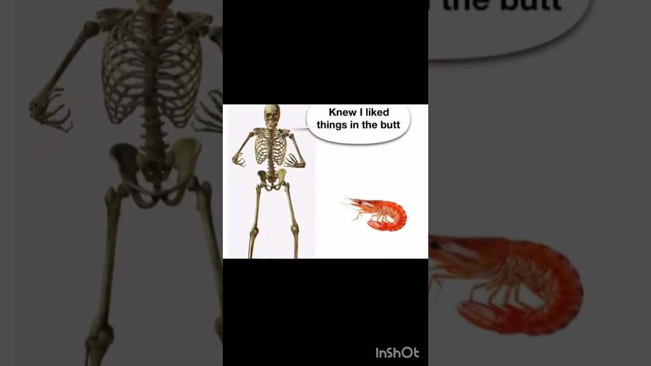 things in the butt. made by @philly.banana on Instagram #memes #discordmemes #funny #meme #butt