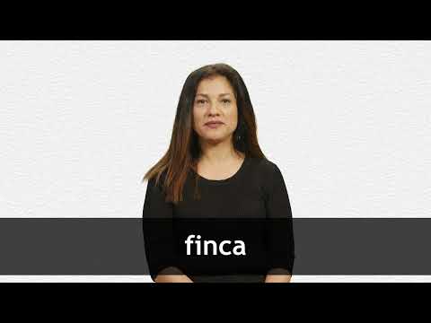 English Translation of “FINCA” | Collins Spanish-English Dictionary