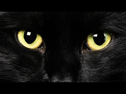 Top 10 Superstitions