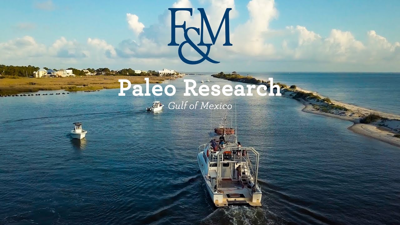 F&M Research: Paleo in the Gulf