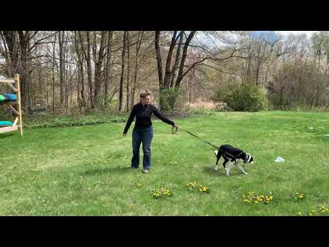 Circle Method: Orion (full session)