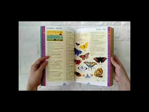 Usborne Junior Illustrated English Dictionary. Paperback.