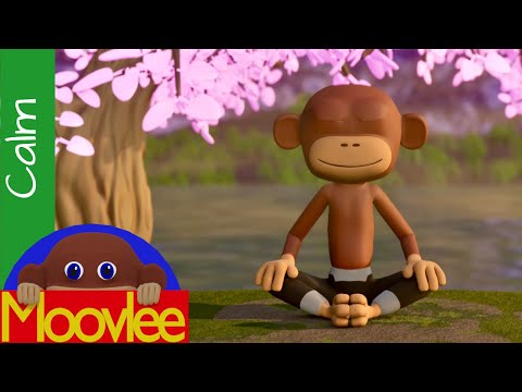 Sit, Breathe & Stretch 1