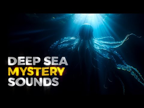 The Deep Ocean Noises We Still Canβt Identify
