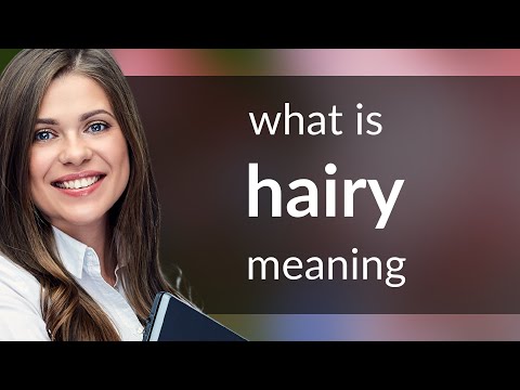 Hairy | what is HAIRY definition
