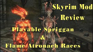 playable Spriggans and Atronachs at Skyrim Special Edition Nexus - Mods ...