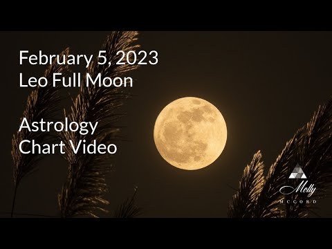 CLICK5: Full Moon & Trial Balloon… – Library of Libraries