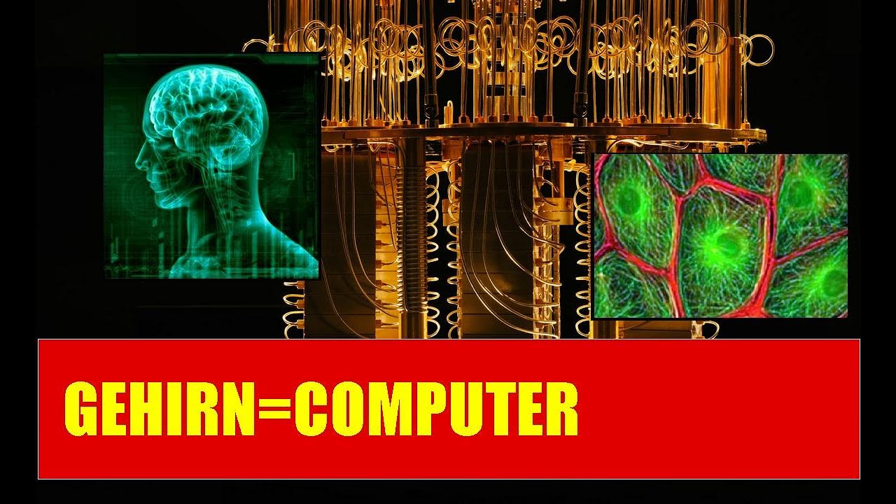 Ist das Gehirn ein Quantencomputer = ?