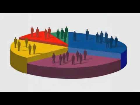 What does SAP mean in the corporate companies? SUCSEED.us
