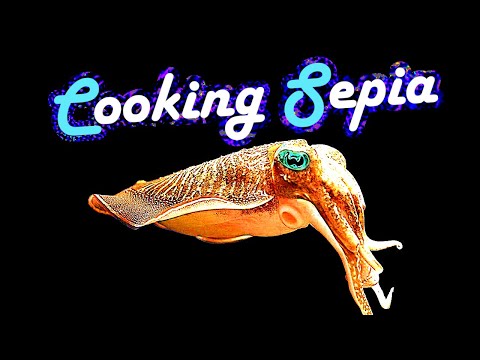 Cooking - Sepia mediterranean Style - Recipe