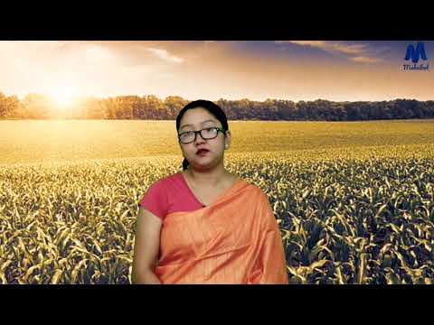Crop Production and Management Part-1 || Class 8 Science || Maheikol