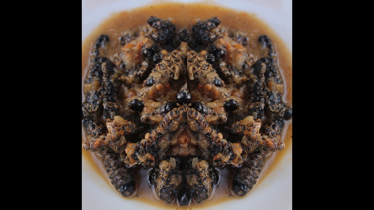 Masonja / Mopani / Mopane Worm Recipes – The Best African Dried Moth ...