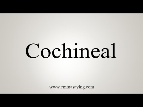 How To Say Cochineal
