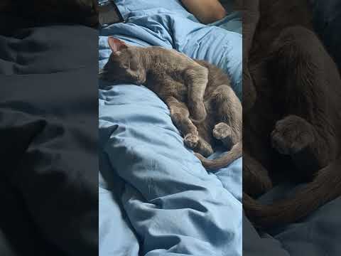 Luca sleeping cutely