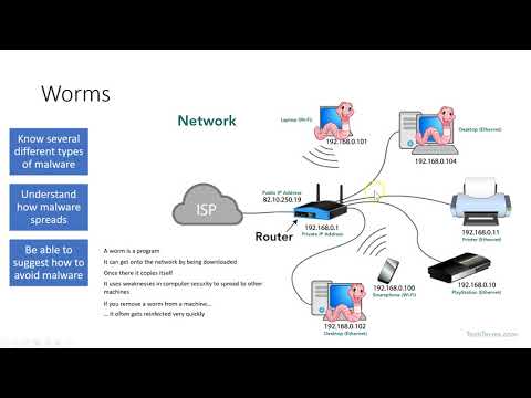 How do computer worms spread?