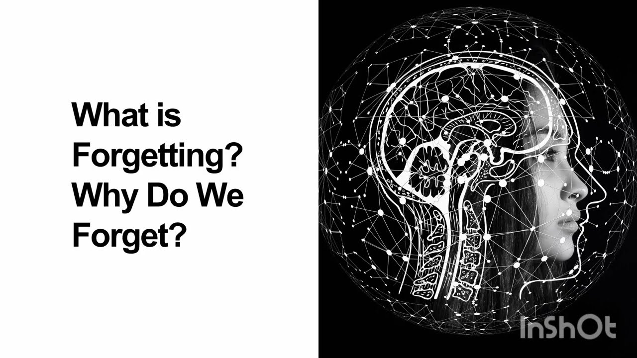 What is Forgetting? Why Do We Forget? PowerPoint Presentation. Audio Lectures psychology