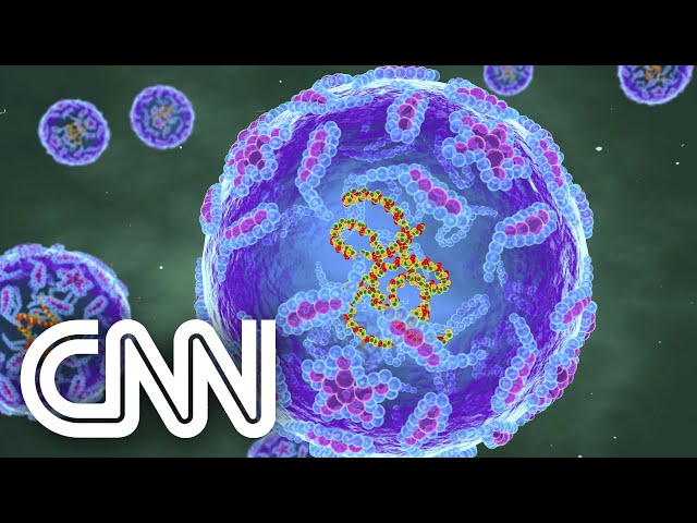 Saúde investiga caso de paralisia flácida aguda no Pará | CNN Brasil