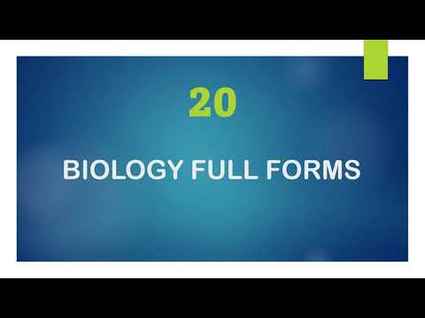 20 Full Forms Of Biology | General Knowledge | RBC WBC ATP NADP GTP BMI HIV AIDS ADP AMP BP DNA RNA