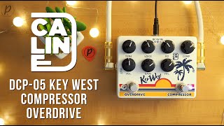 Caline DCP-05 Key West Compressor / Overdrive - What To Know & Where To Buy | Equipboard
