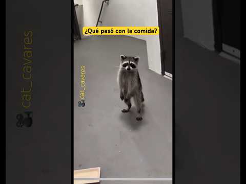¿Qué pasó con la comida de esta mujer de #Florida?
