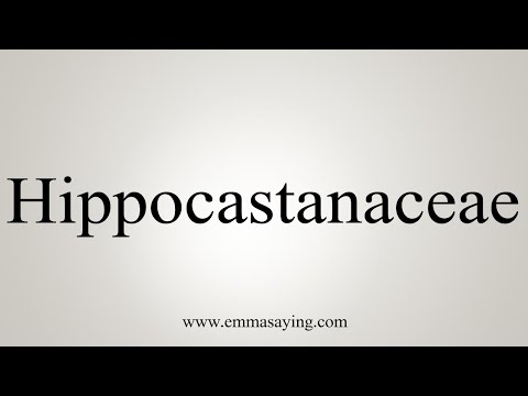 How To Say Hippocastanaceae