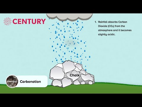Coastal Processes: Weathering | Geography