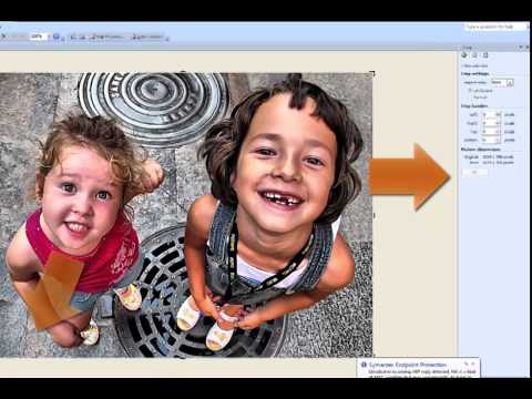 How to Crop & Resize Photos for Web Using MS Picture Manager