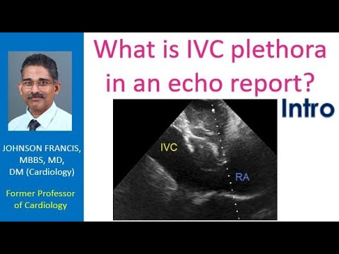 What is IVC plethora in an echo report? Intro
