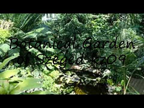How to pronounce Botanical Garden of Szeged kz09 in English?