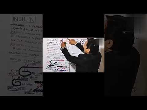 Biosynthesis of Insulin In Hindi#shorts#viralvideo#viralshorts